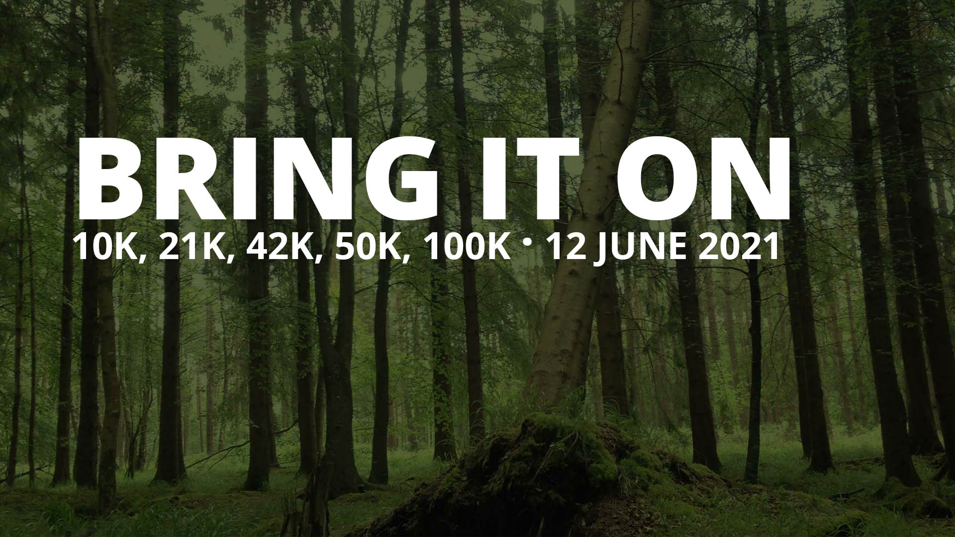 Portumna Forest Marathon - Running, 10K, 21K, 42K, 50K, 100K, Galway