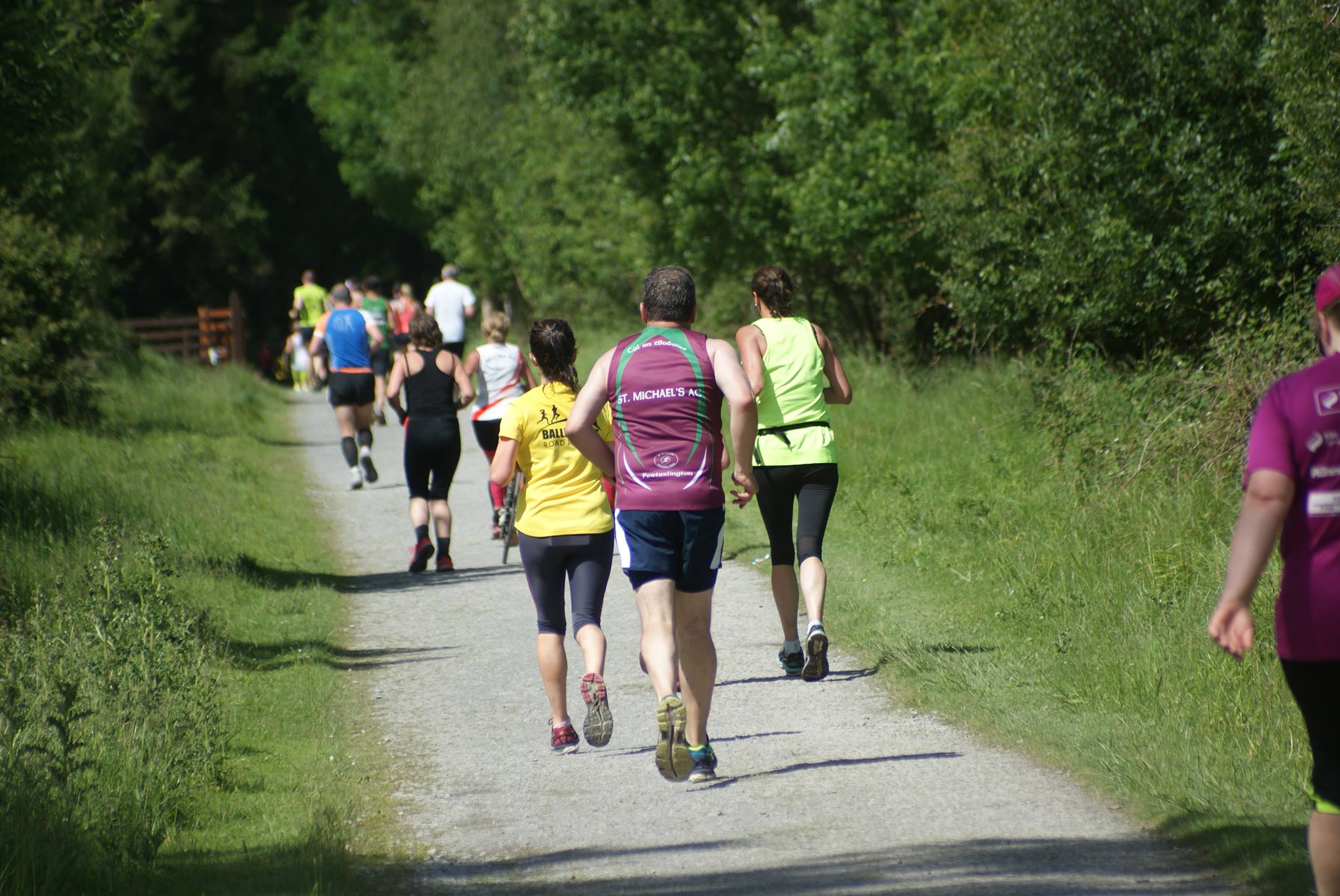 ROUTE - Forest Marathon