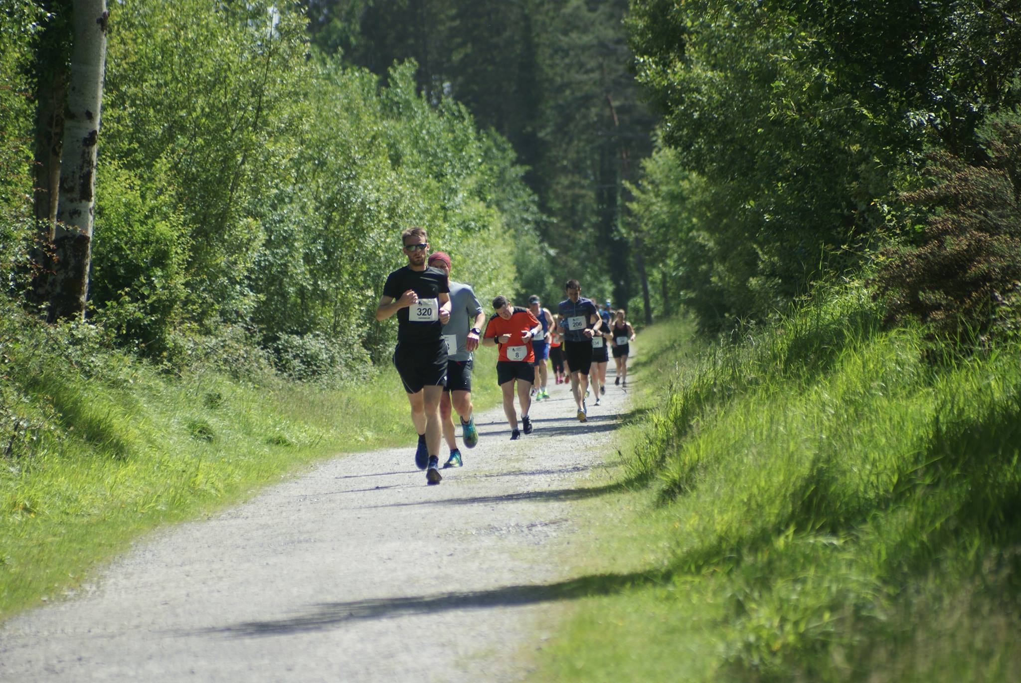 ENTER ONLINE - Forest Marathon